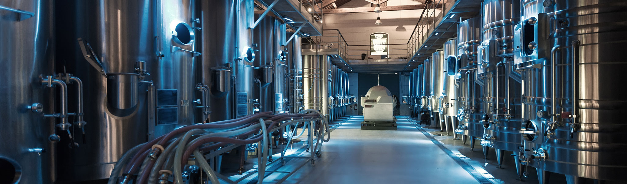 Food - Errecé Laser